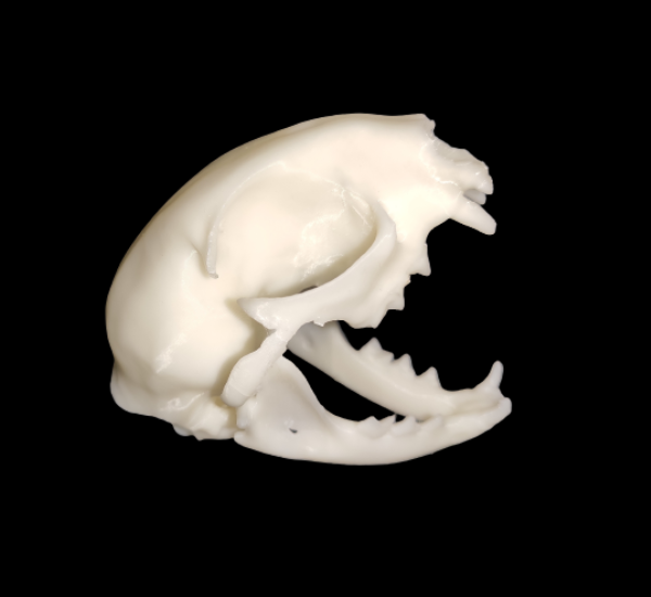 Galerie – i3Dprint